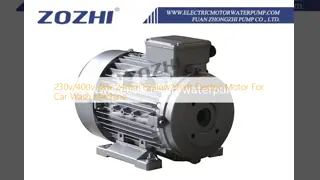 4kW Hollow Shaft Motor for High Pressure Pumps