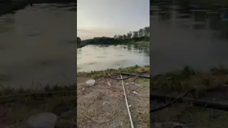 Scene application video of micro-perforated fish, shrimp and crab pond aeration machine