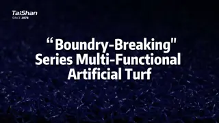 Boundary-Breaking Series Multi-Functional Artificial Turf