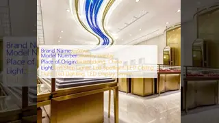 Luxury Champagne Gold Jewelry Display Case for Boutiques