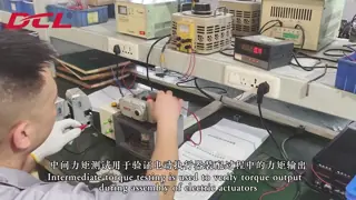 Intermediate Torque Performance Test of Electric Actuator