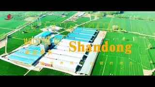 Farmrob | 3 million layer farms in Shandong