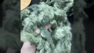 conductive short fiber
