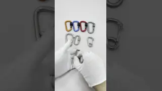 Silver D Shape Snap Hook Spring Clip Connector for Keychains Bags Straps and Hanging Accessories