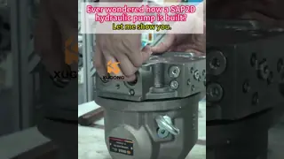 Ever wondered how a SAP2D hydraulic pump is built? Let me show you. #excavatorparts