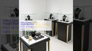Modern Black and Gold Jewelry Display Case Solution