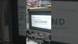 DH500 Food Container Making Machine | Plastic Sandwich Box Production