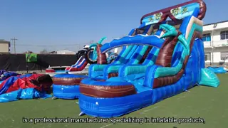 Commercial Tropical Water Slide for Rental Business