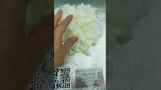 Polyester Staple Fiber 007