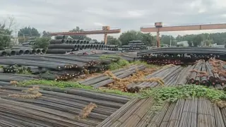 Deformed steel bar