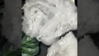 3D graphene polyester fiber Permanent Functional Regular Fiber Far Infrared Antibacterial Anti-Static Spinning Fiber