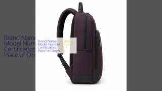 Best Professional Laptop Backpack for Travel and Work