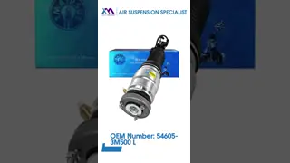 Tech Master TMAIRSUS Air Suspension Shocks for Audi A8 D3