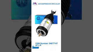 Tech Master TMAIRSUS Air Suspension Struts for 2013-2018 Dodge Ram DS