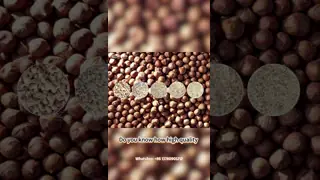 Fully Automatic Chopped Hazelnut Production Line | Chopped Hazelnut Peanut  #processing #chopping