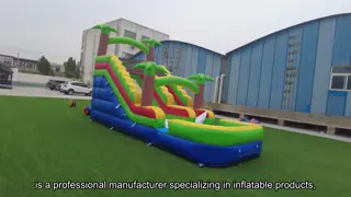 Tropical Palm Inflatable Water Slide for Rental Business