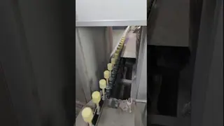 Precision Skincare Bottle Spraying Line Automation