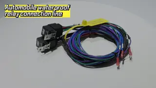 Snowwolf Customized 40A Automotive Waterproof Relay Plug Harness (Model: SW-W-10)
