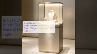 Modern LED Jewelry Showcase Premium Retail Display