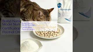 Premium Cat Food Premix Essential Vitamins and Amino Acids