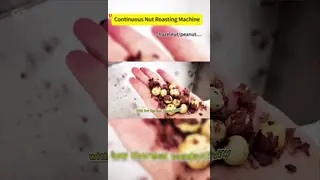 How to boost production? Commercial nut roaster for hazelnuts, real‑site production footage.