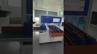 Automatic Prismatic Cell Sorting Machine