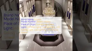Modern Gold Jewelry Display Case with LED Lighting