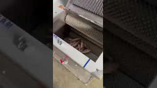 fish scale machine
