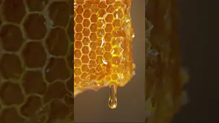 How Long Can Real Honey Stretch? Watch This Incredible Honeycomb Pull ????????