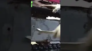 Replacement Rubber Track
