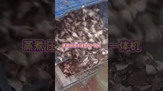 Fish Meal Plant