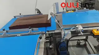 Automatic Tray Loading and Packaging Machine Solution