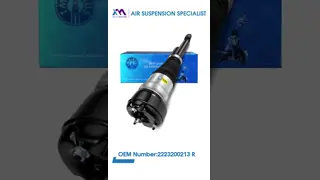 Tech Master TMAIRSUS Air Suspension Struts for Mercedes-Benz S-Class W222