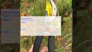 Best Labor Saving Pruning Shears for Thick Branches