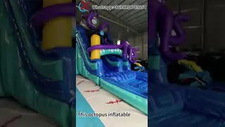 Octopus Inflatable Water Slide for Summer Fun
