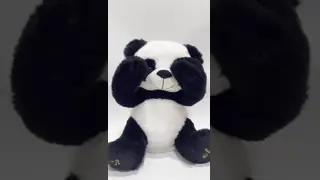 Peekaboo Plush Bear