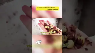 Multifunctional Roasting Oven for Hazelnut Baking | Roasted Peanut  #processing#roasting #hazelnut