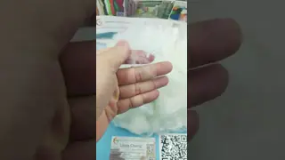 Polyester Fiber 01