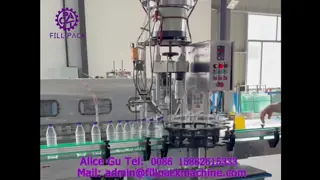 2355 M19 Automatic Single-Head Threaded Cap Capping Machine