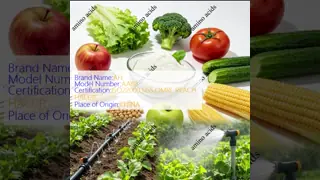 100 Percent Water Soluble Amino Acid Powder for Fertilizer