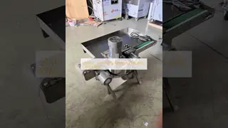 Small Fish Visceral Removal Machine Efficient Filleting