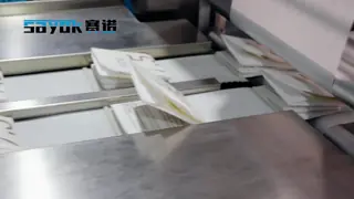 Bi-fold Surgical Glove Four Side Seal Packing Machine