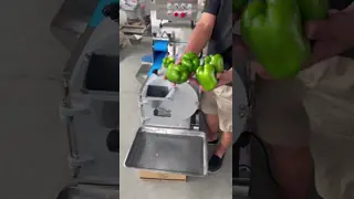 vegetable fruit cutting machine