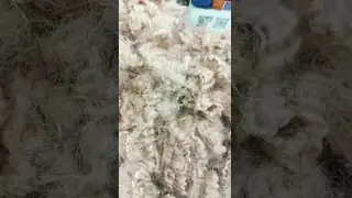 Polyester Staple Fiber 008