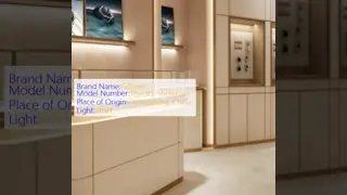 Luxury Jewelry Store Interior Design Turnkey Solution