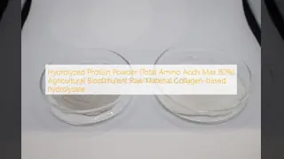 Premium Hydrolyzed Amino Acid Powder 90 Percent for Crops