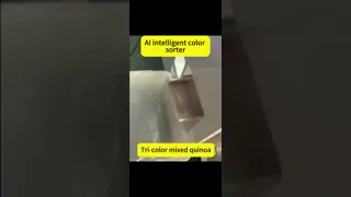 High Efficiency Color Sorter for Premium Quinoa