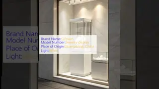Luxury Gold Jewelry Display Case for Modern Retail Shops