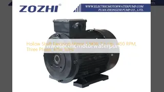 Compact Hollow Shaft Motor for High Pressure Washers