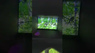 HONDIGI NVG08F Night Vision Device Daytime AI Bird Observation and Recognition Test